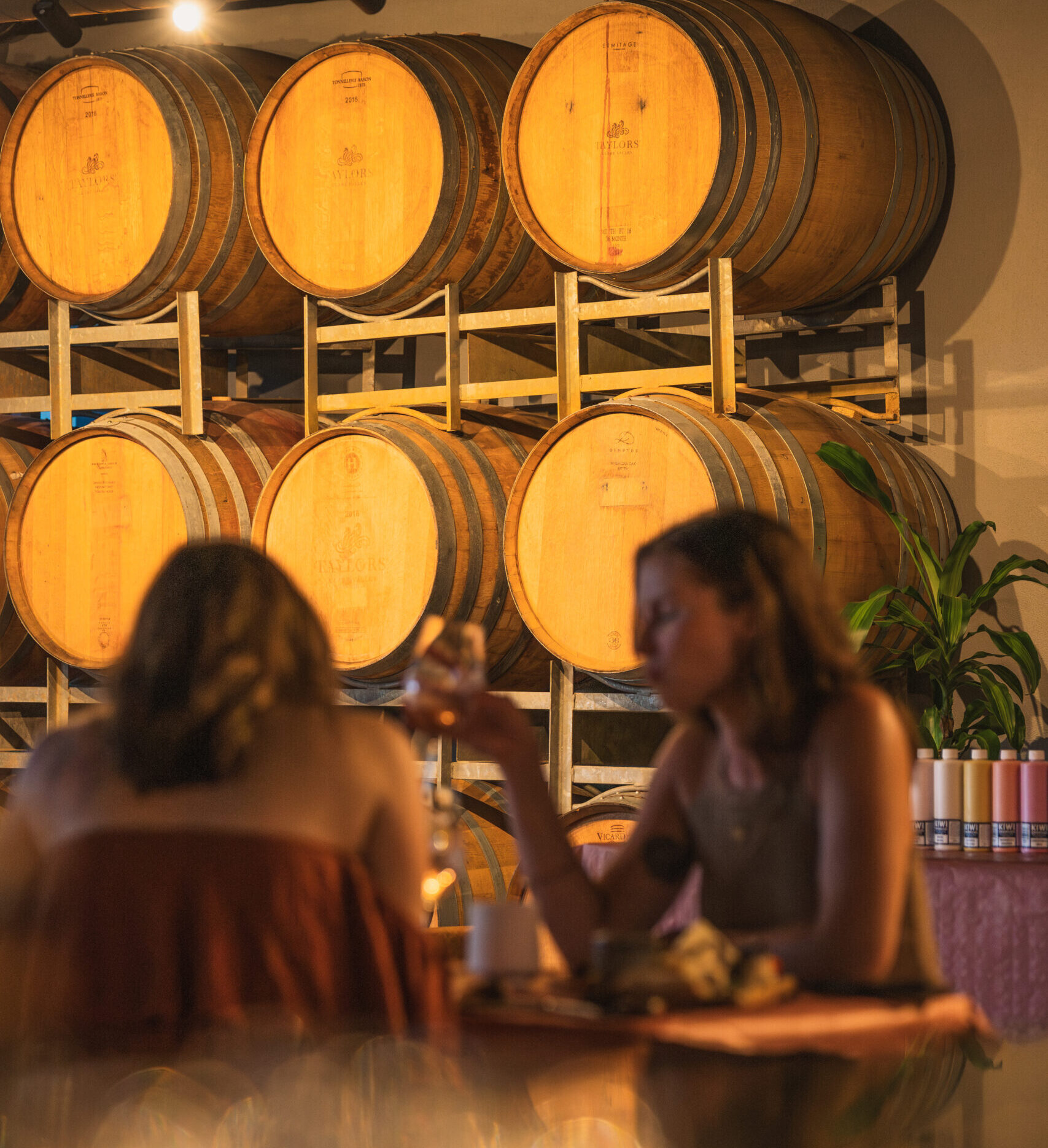 The Hills Of Rivermakers | Brisbane's Best Family Friendly Destination