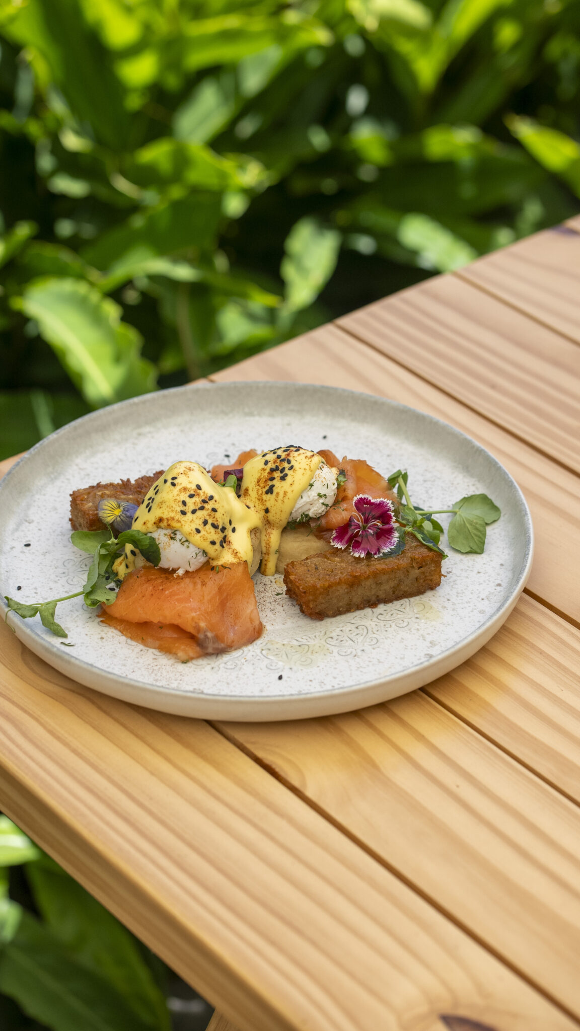 The Hills Of Rivermakers | Brisbane's Best Family Friendly Destination